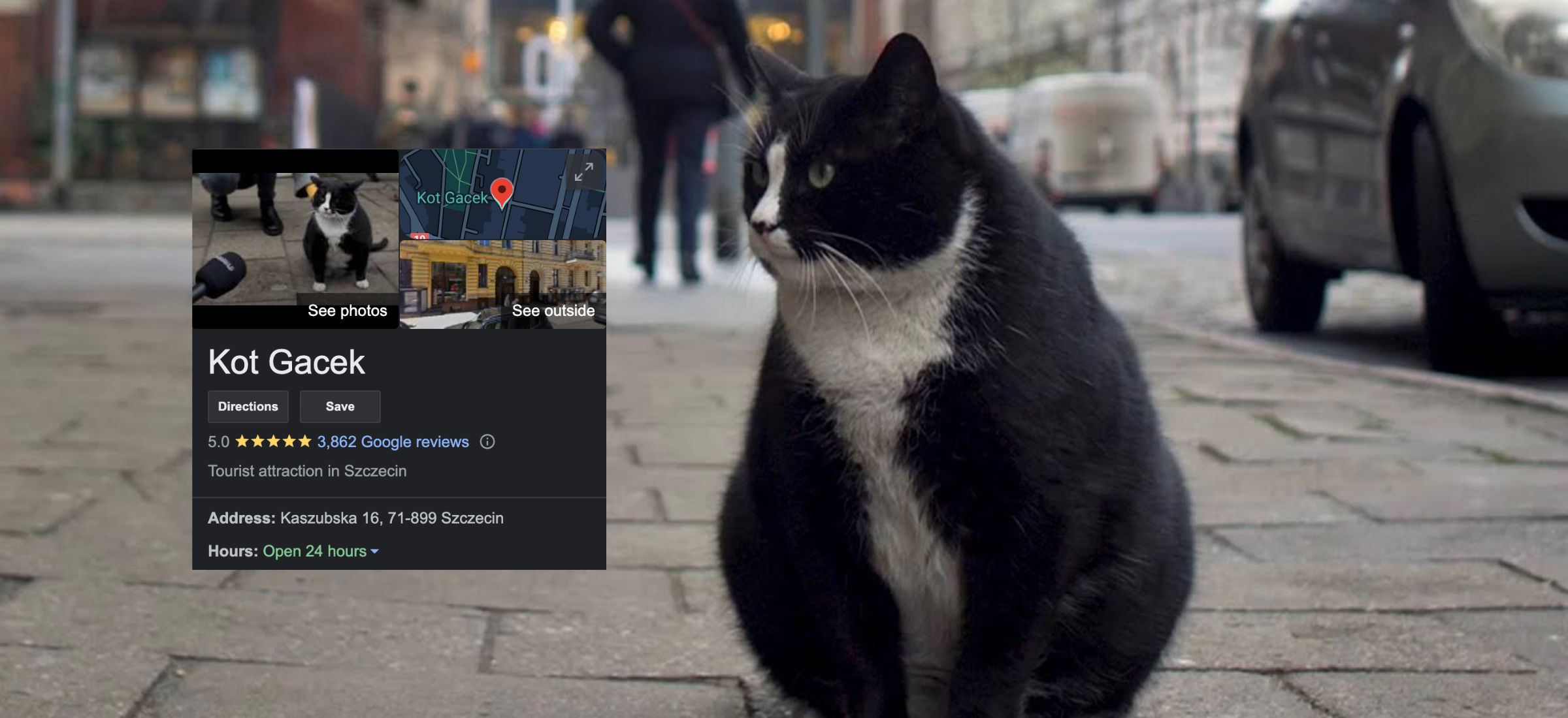 Najwyżej oceniana atrakcja Szczecina trafiła do specjalisty. Diagnoza ...