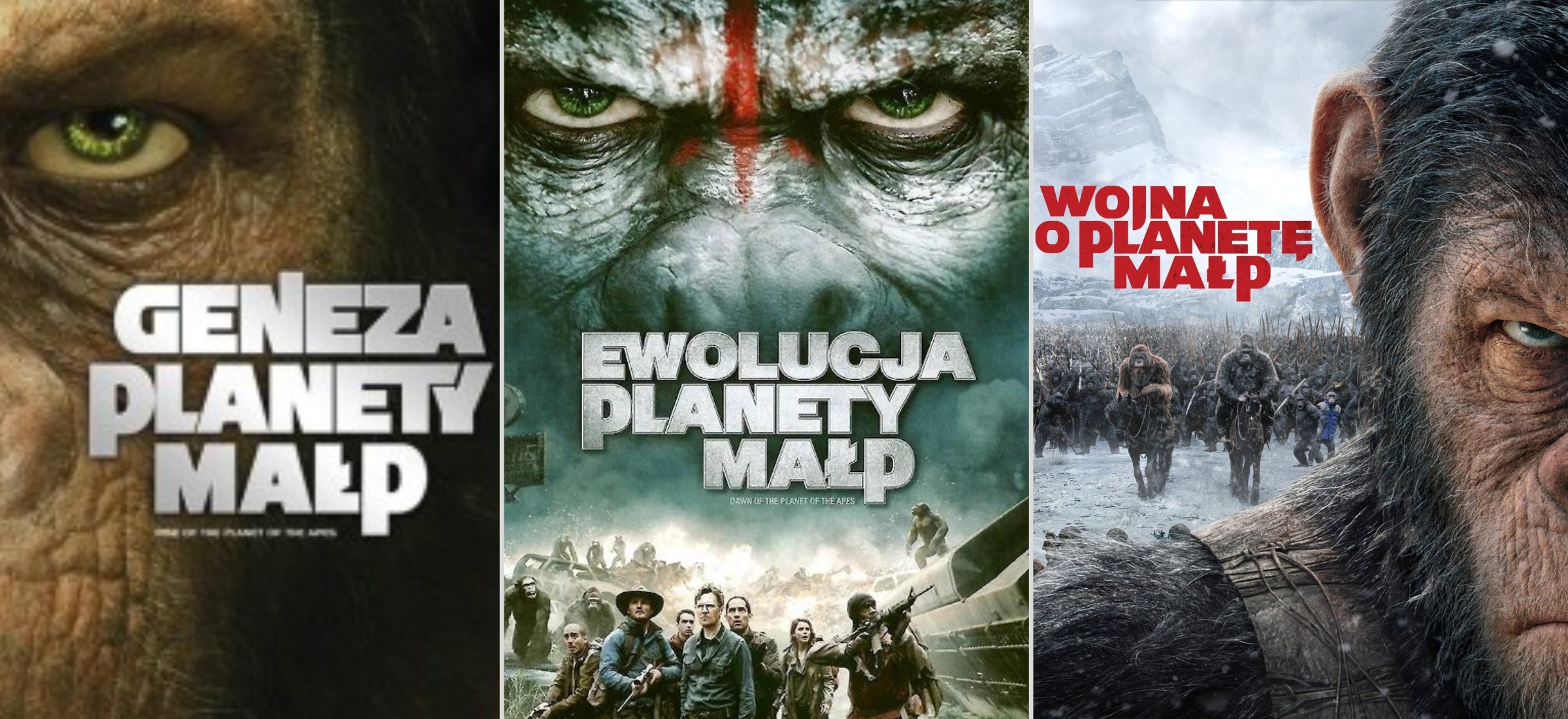 Planeta Małp: gdzie obejrzeć wszystkie filmy z serii online? Lista ...